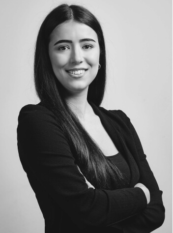 The Permit | Our Team